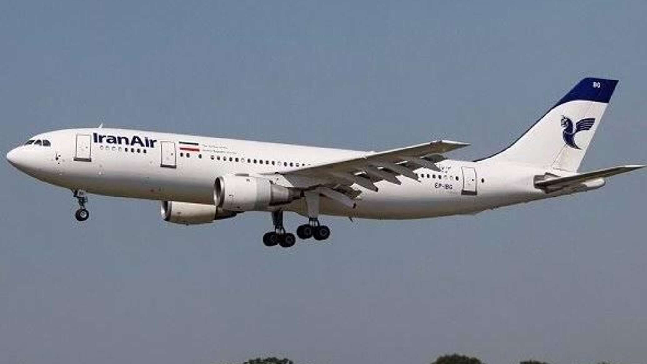 ناوگان هوایی ایران در سال جاری نوسازی می شود - 29.03.2023, اسپوتنیک ایران